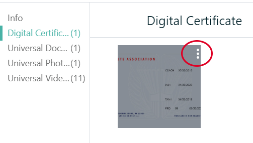 United States Parachute Association > Experienced Skydivers > USPA ...